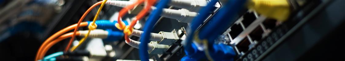 Master of Computer Science and Information